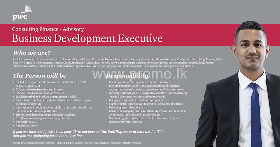 Business Development Executive at PWC