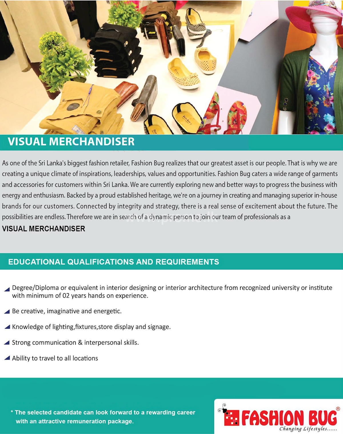 Visual Merchandiser at Fashion Bug