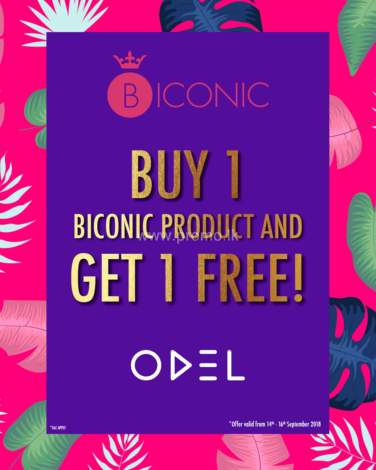 Buy 1 Biconic Product and Get 1 Free from Odel